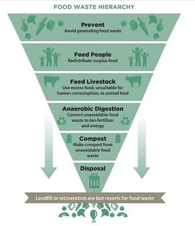 Sustainable Travel Ireland | 6 Facts And Figures About Food Waste In ...